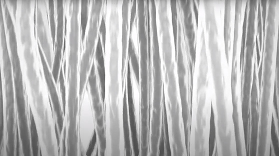 멸균 포장재 | DuPont™ Tyvek®